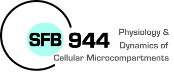 Integrated Bioimaging Facility iBiOs at CellNanOs